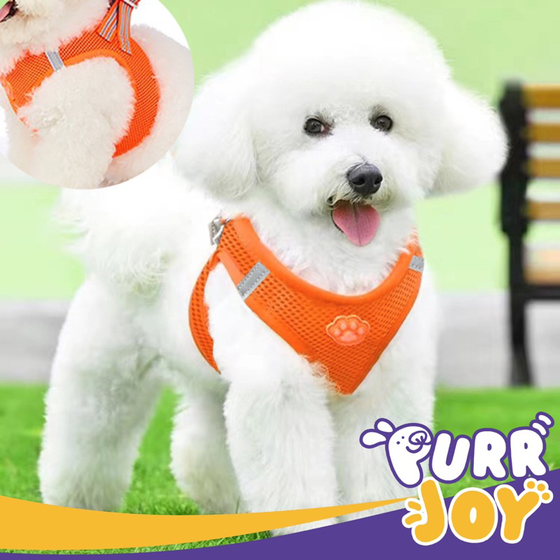 Jual PURRJOY Rompi Harness Glow In The Dark Hewan Anjing Tali Tuntun ...