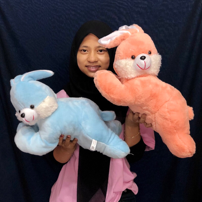 Jual BONEKA KELINCI RABBIT CARROT LUCU BONEKA KARAKTER KELINCI BARING ...