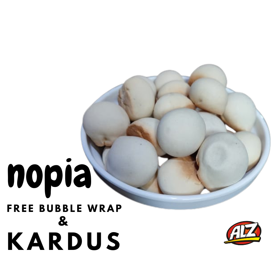 Jual Nopia Mini Camilan Tradisional Kuno Jaman Dulu Mino Gula Jawa ...