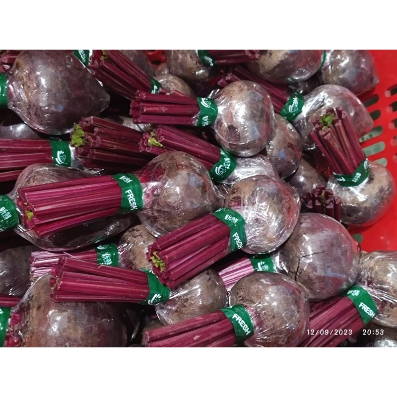 Jual Buah BIT segar 1 KG SUPER / Beet Root / Buah Bit / Herbal /Buah ...