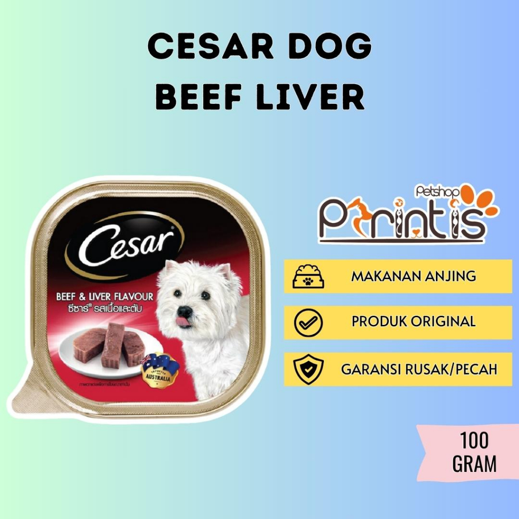 Jual Makanan Basah Anjing Cesar Beef with Liver Dog Wet Food 100 gr ...