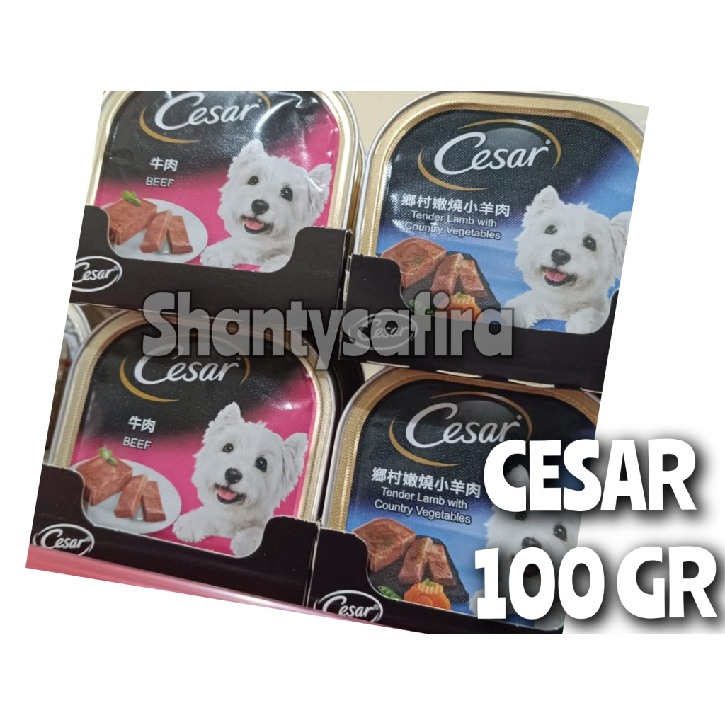 Jual MAKANAN ANJING CESAR 100 GR MAKANAN BASAH UNTUK SEMUA JENIS ANJING ...