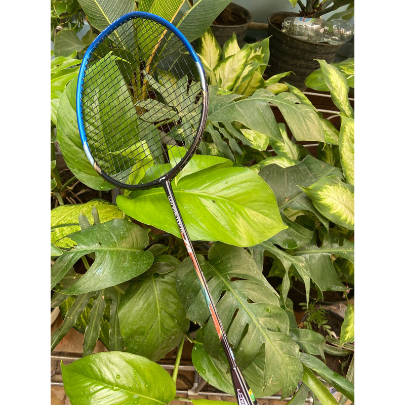 Jual RAKET BADMINTON MURAH BERLOGO LENGKAP BERKUALITAS 24LBS | Shopee ...