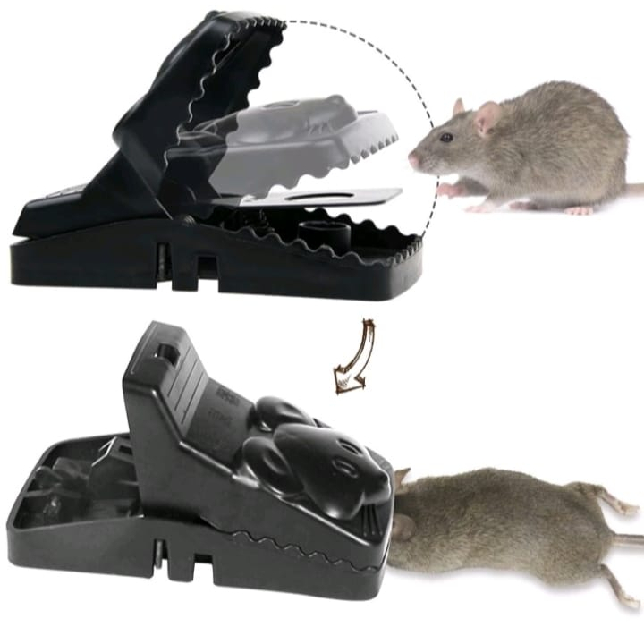 Jual Perangkap Tikus / Alat Jebakan Jepit Tikus | Shopee Indonesia