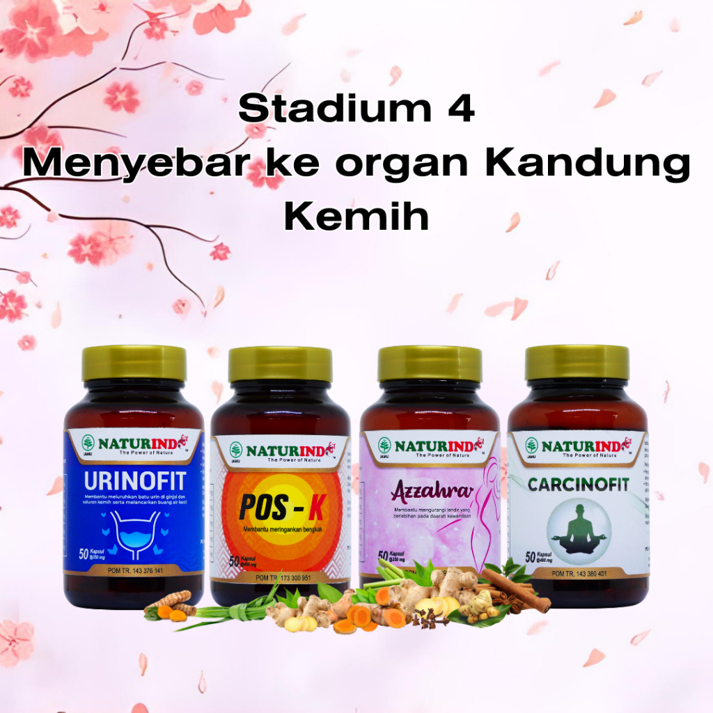 Jual Obat Herbal Kanker Serviks Cancer Leher Rahim Stadium 1 2 3 4 ...