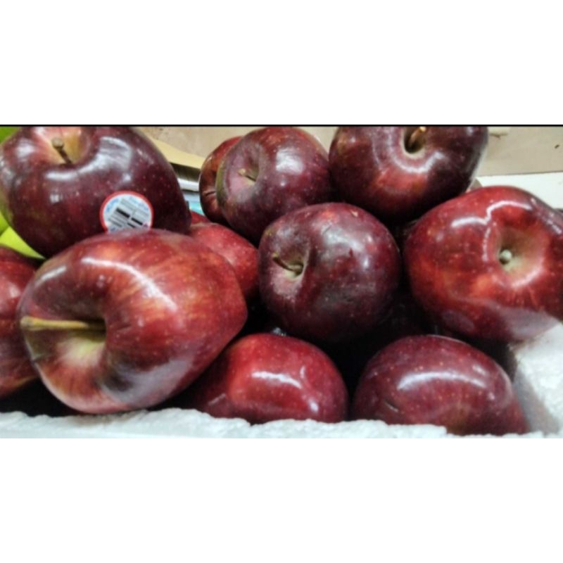 Jual Apel merah USA 500grm 2-3 pcs | Shopee Indonesia