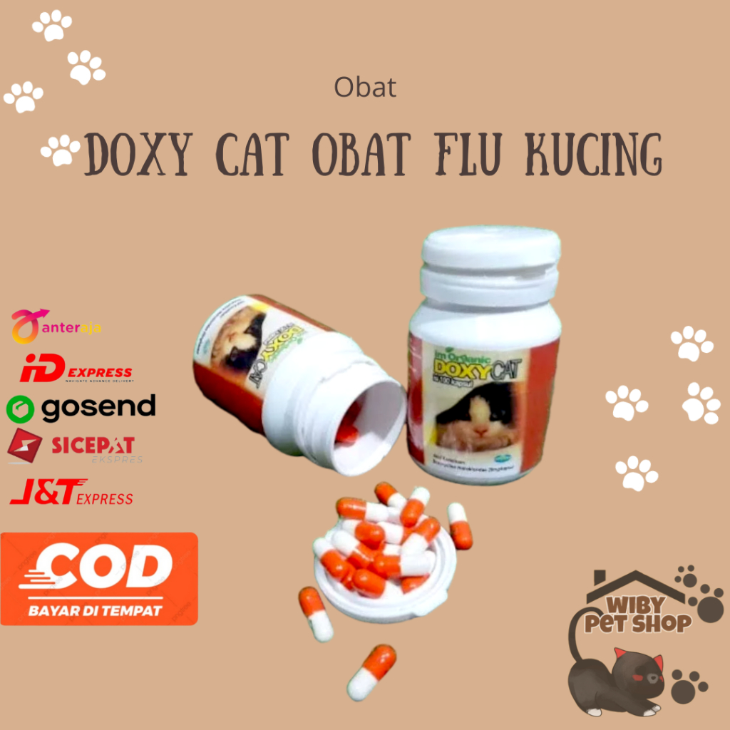 Jual DOXY CAT (1 Kapsul) Obat flu dan antibiotik kucing | Shopee Indonesia