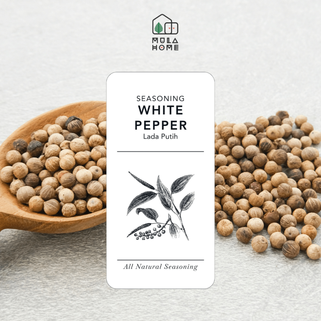 Jual AN01 STICKER LABEL SPICE JAR Stiker Bumbu Dapur Minimalis Estetik ...