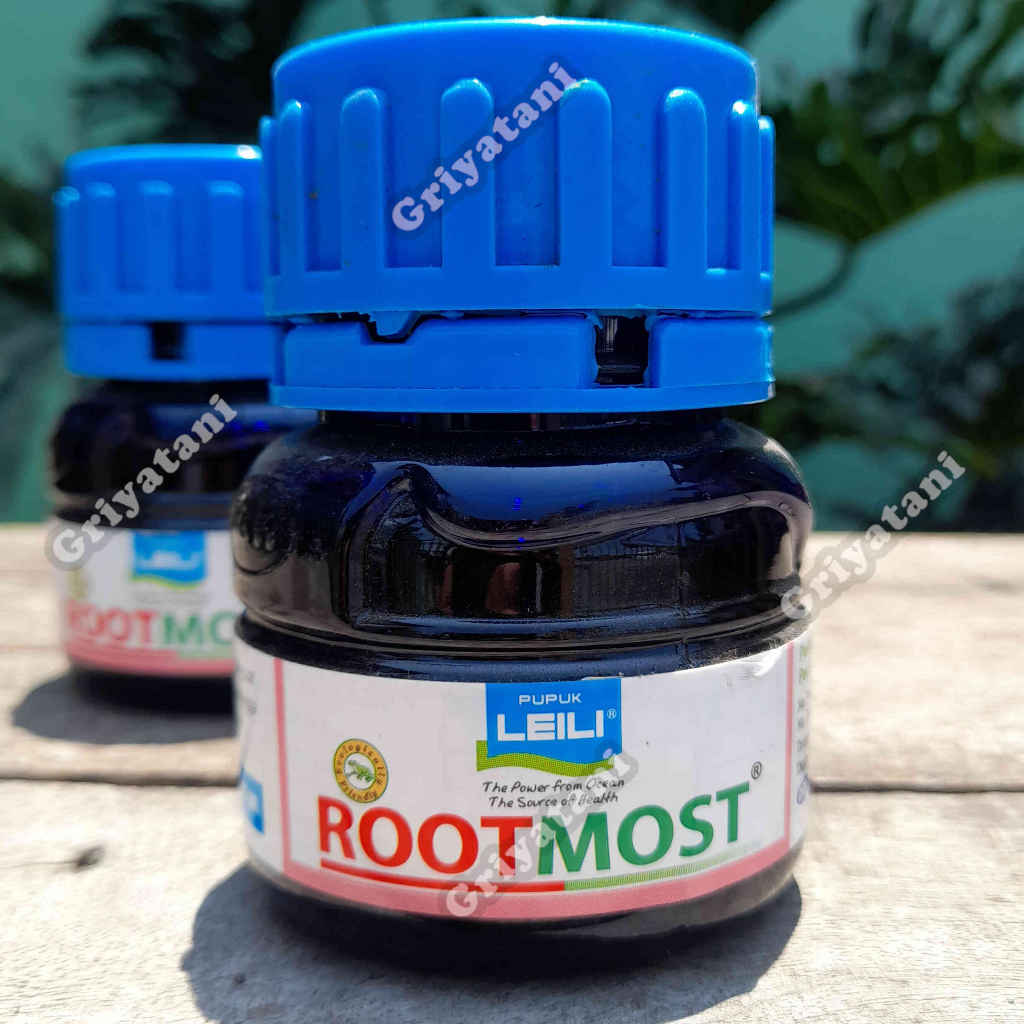 Jual RootMost Zpt pupuk penumbuh akar tanaman 100 ml | Shopee Indonesia