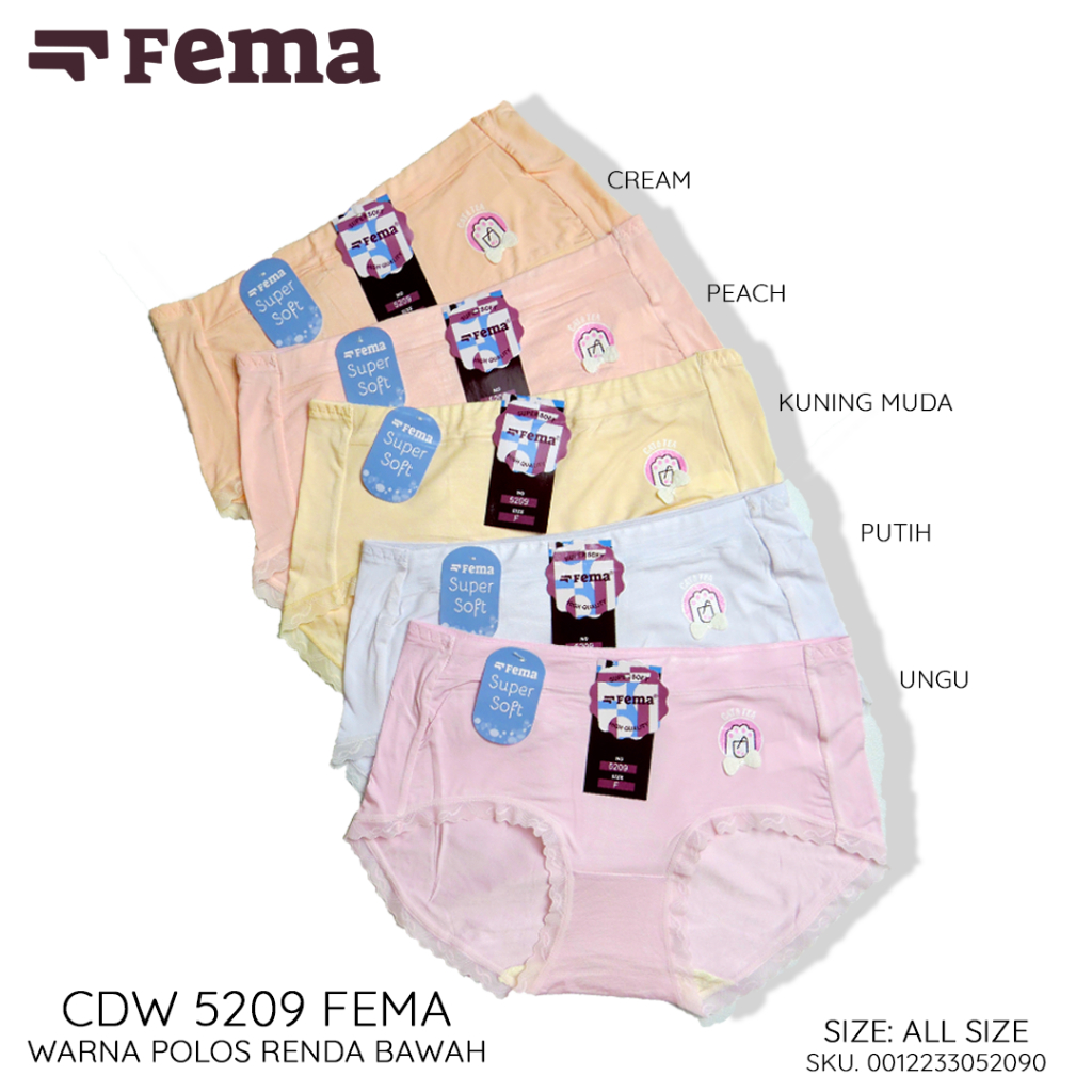 Jual FEMA Official Shop Ecer 1 Pcs Celana Dalam Wanita 5209/5201 Warna Polos Renda Bwah | Shopee ...