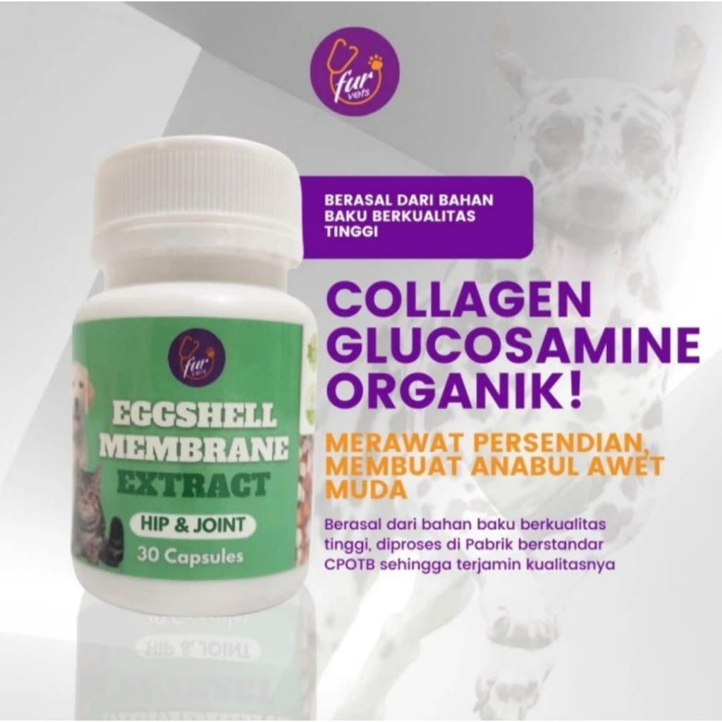 Jual EGGSHELL MEMBRANE EXTRACT COLLAGEN FOR DOG CAT | Shopee Indonesia