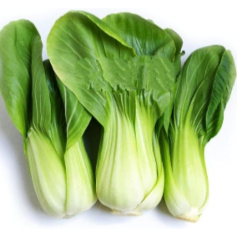 Jual Sayur PakCoy 500 gr segar | Shopee Indonesia