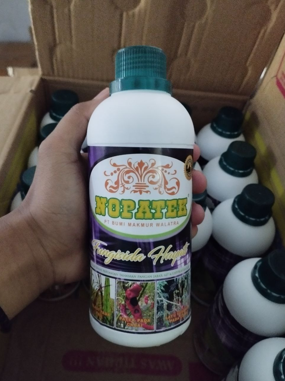 Jual OBAT SAWIT Mati Pucuk Terbaik isi 500 ML NOPATEK - Pupuk Fungisida ... Jual OBAT SAWIT Mati Pucuk Terbaik isi 500 ML NOPATEK - Pupuk Fungisida ...