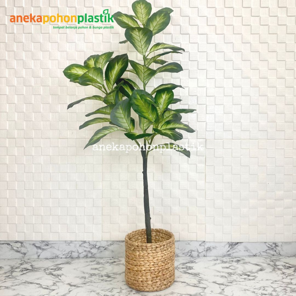 Jual Pohon Imitasi Pohon Daun Bahagia Hijau X3 T140 Latex Artificial ...
