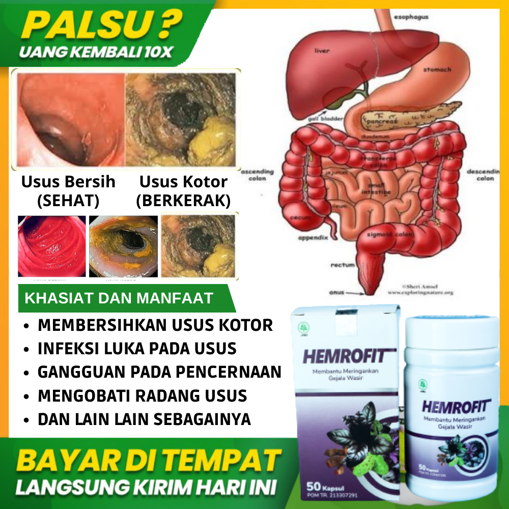 Jual Obat Pembersih Usus Kotor Paling Ampuh Detoxtifikasi Usus Robek ...