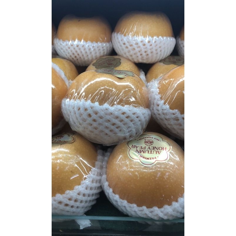 Jual Pear Autumn Honey RRC Wangshan 1 Kg | Shopee Indonesia