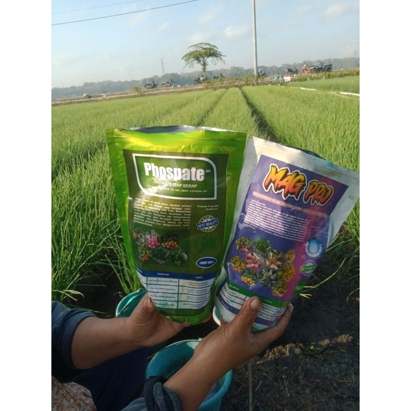 Jual pupuk pospat, phospate, fosfat 98% spray 800 gram | Shopee Indonesia