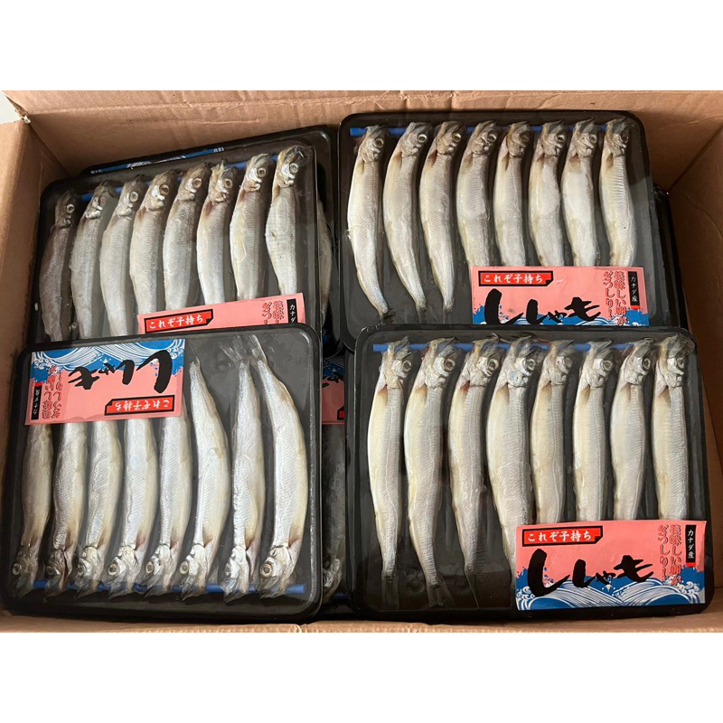 Jual IKAN SHISAMO/ IKAN CAPELIN/ IKAN CIPUNG | HALAL FRESH FROZEN ...