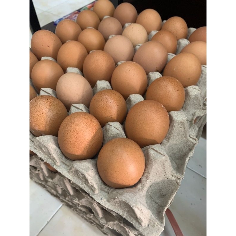 Jual Telur Ayam Negeri Kiloan / Telur ayam Fresh / Telur ayam Murah ...