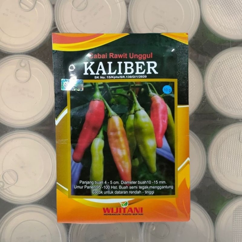 Jual Benih Cabe Rawit Kaliber cabai kaliber 10 Gr kemasan pabrik ...