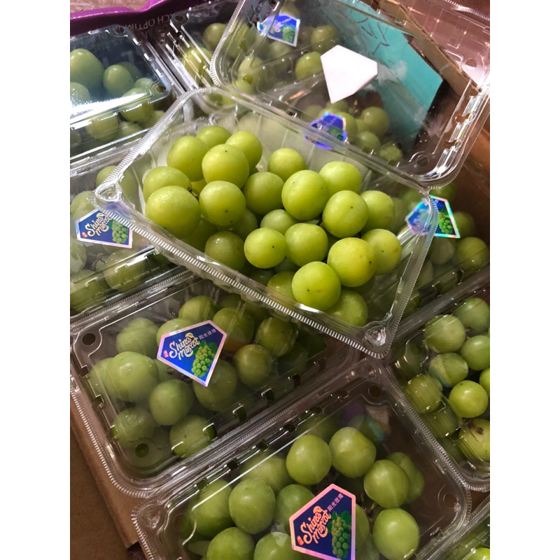 Jual Anggur Shine Muscat Berat 500 gram / pack | Shopee Indonesia