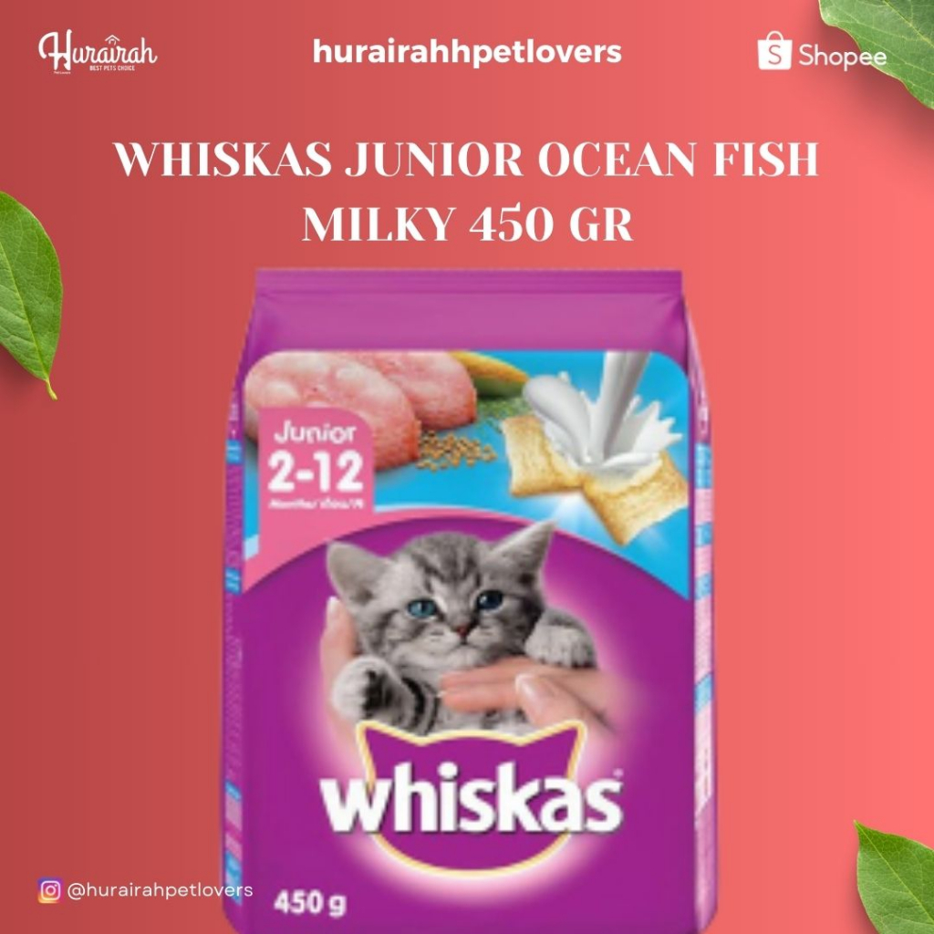 Jual WHISKAS JUNIOR OCEAN FISH MILKY 450 GR | Shopee Indonesia