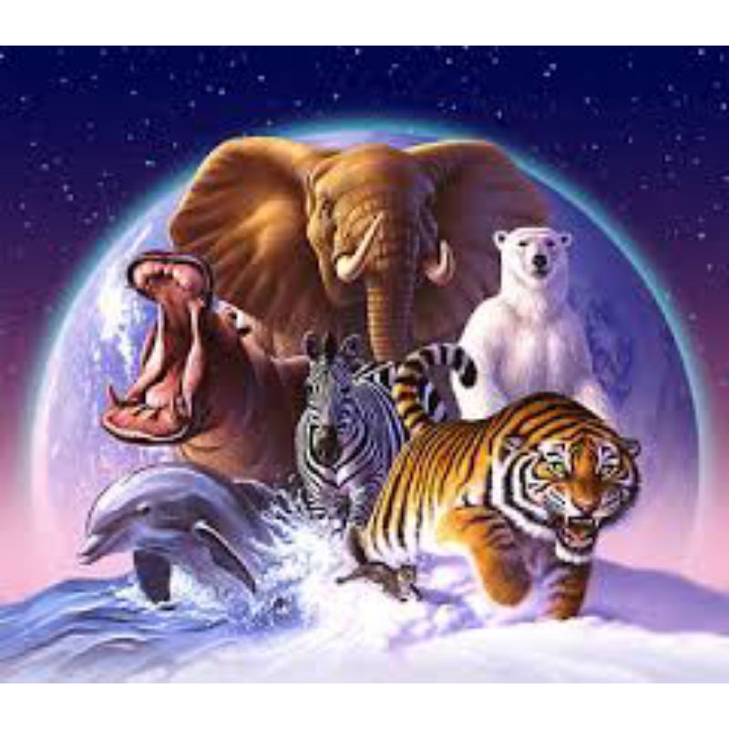 Jual poster dinding animal planet | Shopee Indonesia