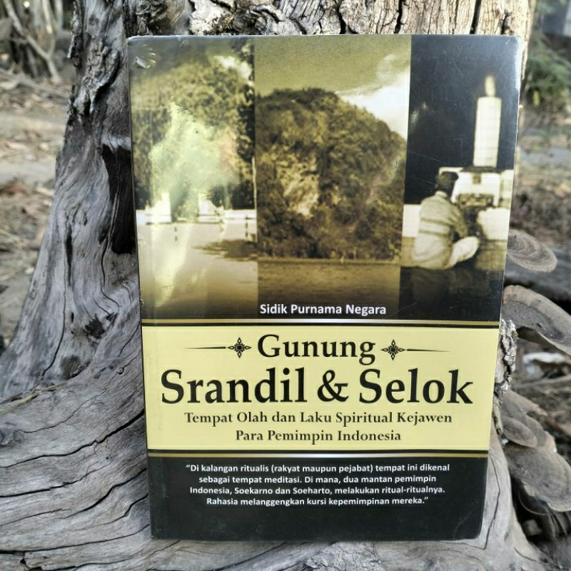 Jual Buku SEJARAH GUNUNG SRANDIL DAN SELOK Tempat Laku dan Olah ...