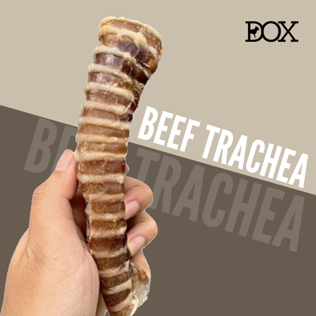 Jual DOX Beef Trachea Kerongkongan Sapi Kering Jerky Air Dried Berbagai ...