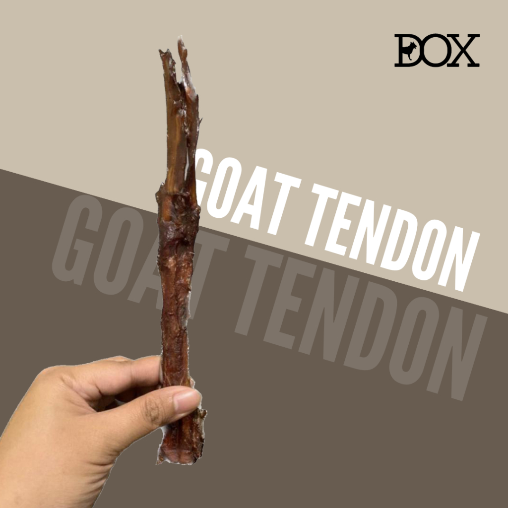 Jual DAWG! Goat Tendon Otot Punggung Kambing Chew Dehydrated Dog Snack ...