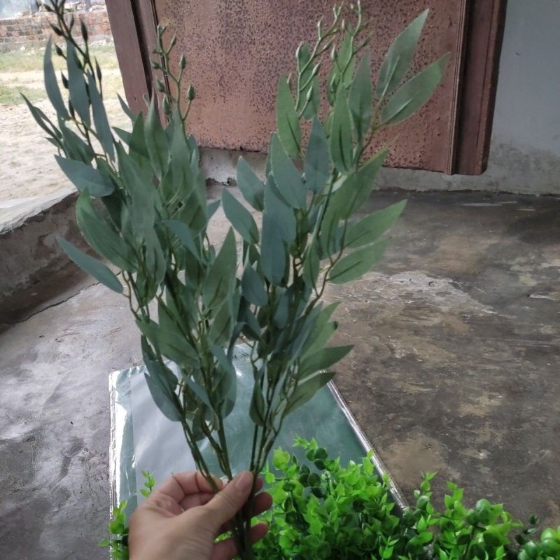 Jual Bunga Gypsophulia/Baby Breath/Bunga Pikok/filler/Daun Ruskus/Daun ...