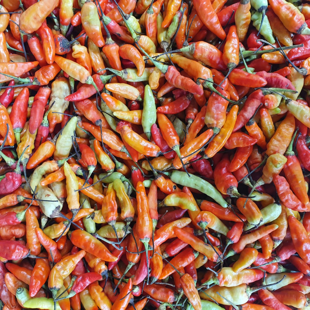 Jual Cabe Segar 500 gram | Shopee Indonesia