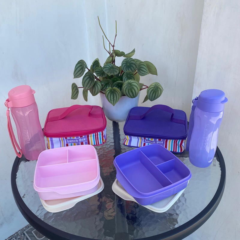 Jual Bekal Sehat Tupperware / Lolly Tup Set | Shopee Indonesia