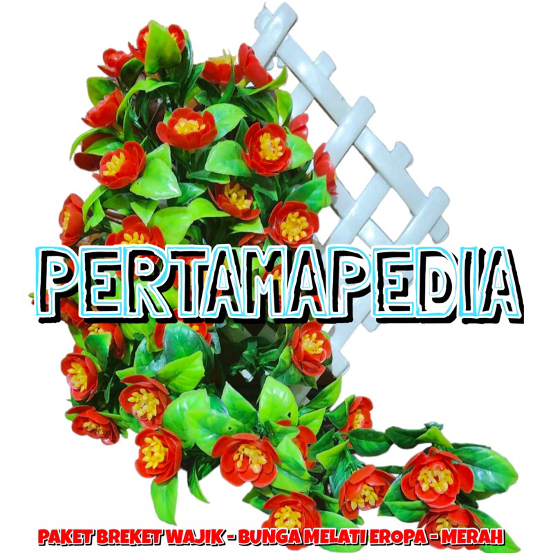 Jual C5 PAKET BUNGA MELATI EROPA + WAJIK BREKET/ Bunga Plastik/ Daun ...