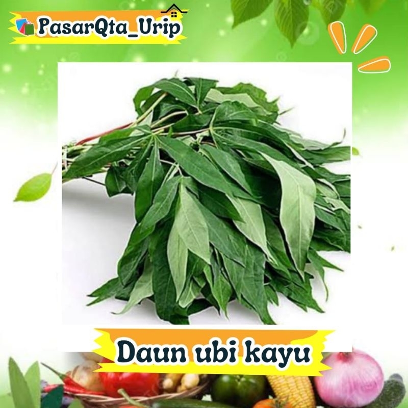 Jual Daun ubi kayu per ikat/ Daung singkong / Pasar sayur Makassar ...
