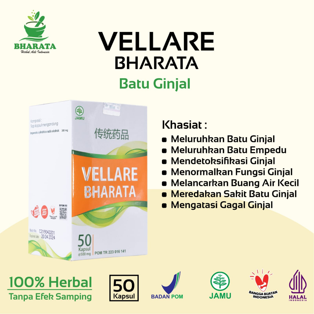 Jual Obat Paling Ampuh Batu Ginjal | Kencing Batu | Radang Ginjal | VELLARE BHARATA 100% Herbal ...