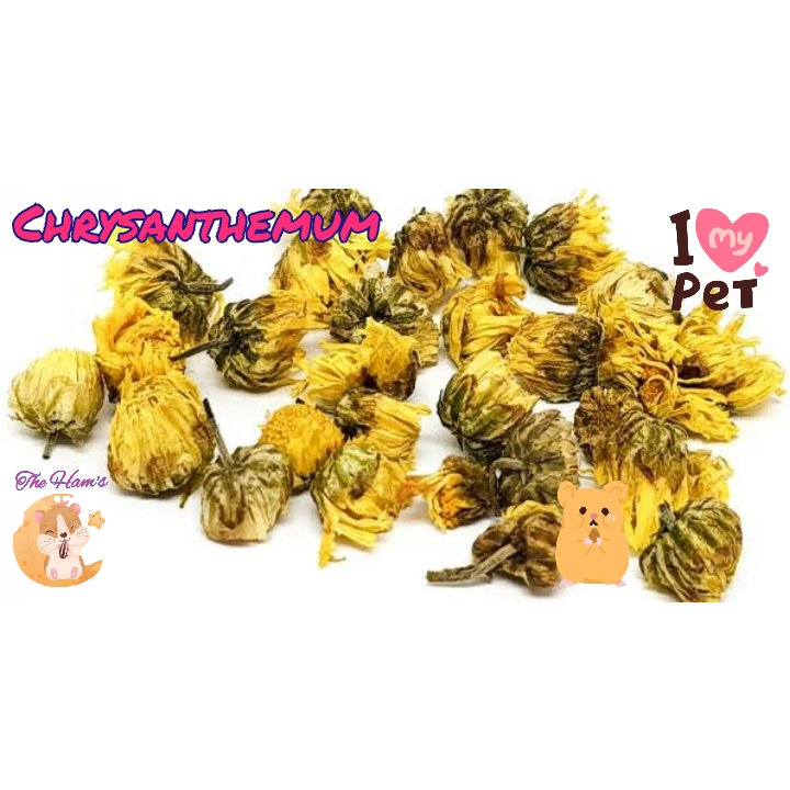 Jual (The Ham's) Chrysanthemum Hamster Forage Wangi Kandang | Shopee ...