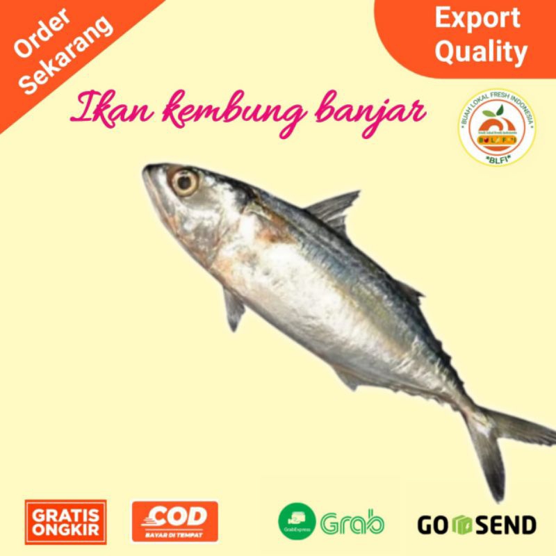 Jual IKAN KEMBUNG BANJAR 500gr | Shopee Indonesia
