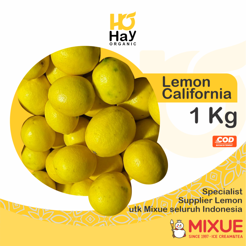 Jual Hay Organic Jeruk Lemon California 1 kg by | Shopee Indonesia