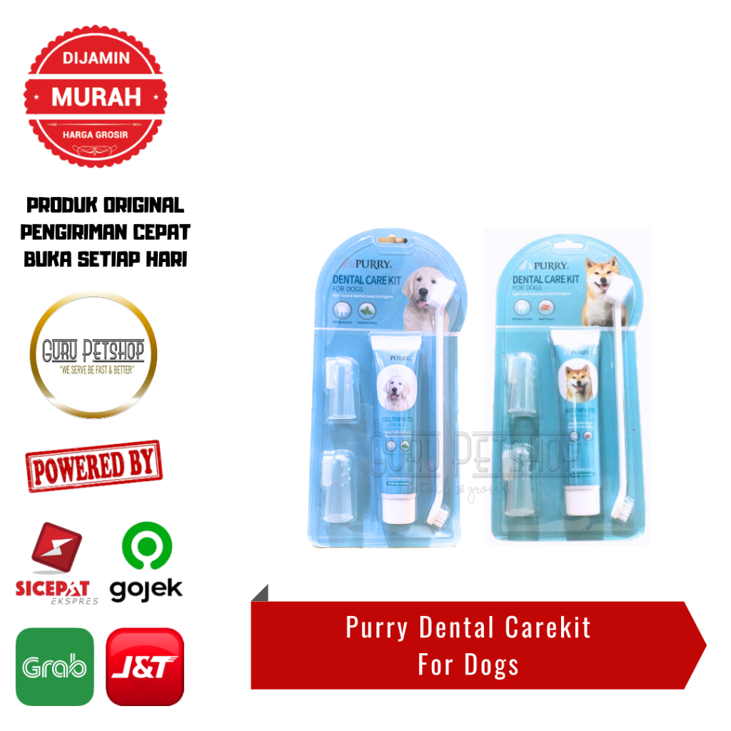 Jual Purry Dental Care Kit For Dog Sikat Pasta Gigi Set untuk Anjing ...