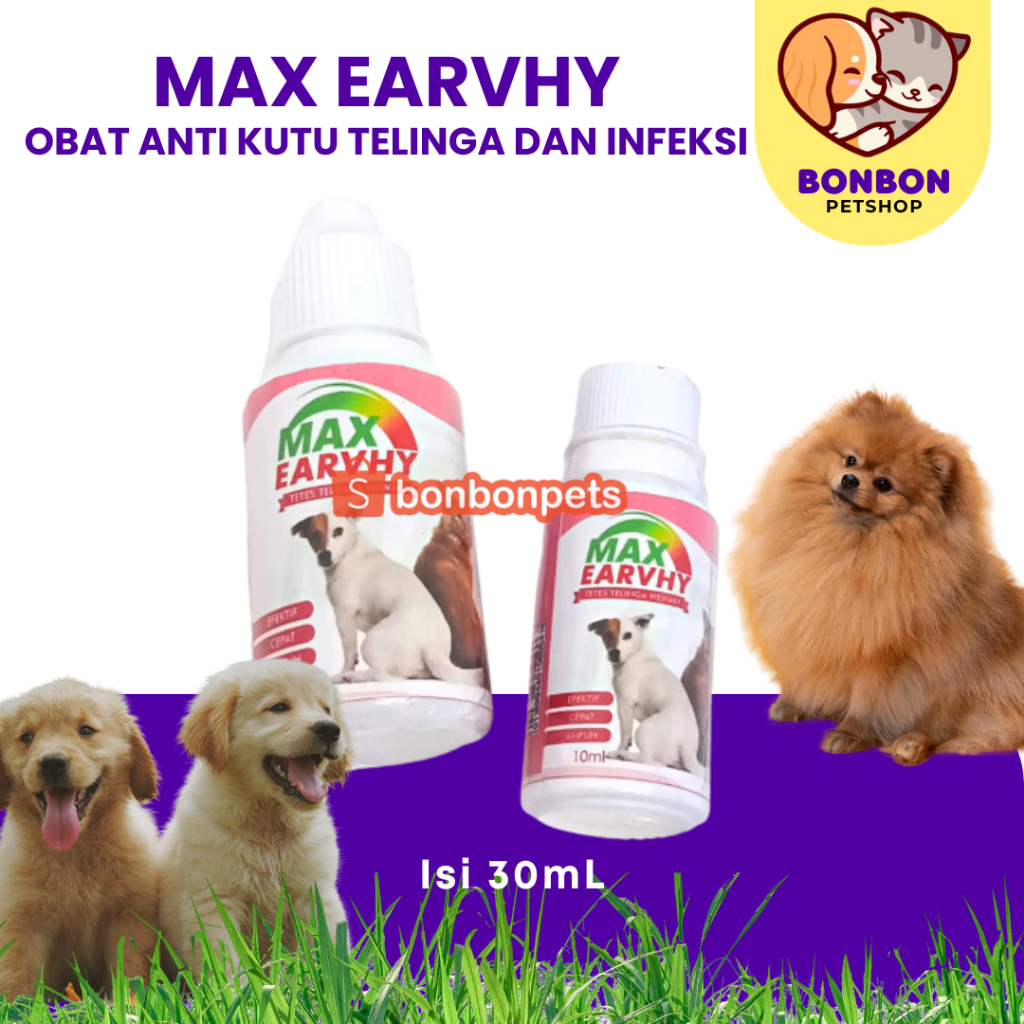 Jual Obat Kutu Telinga MAX EARVHY Obat Tetes Telinga Kotor Hewan Obat ...