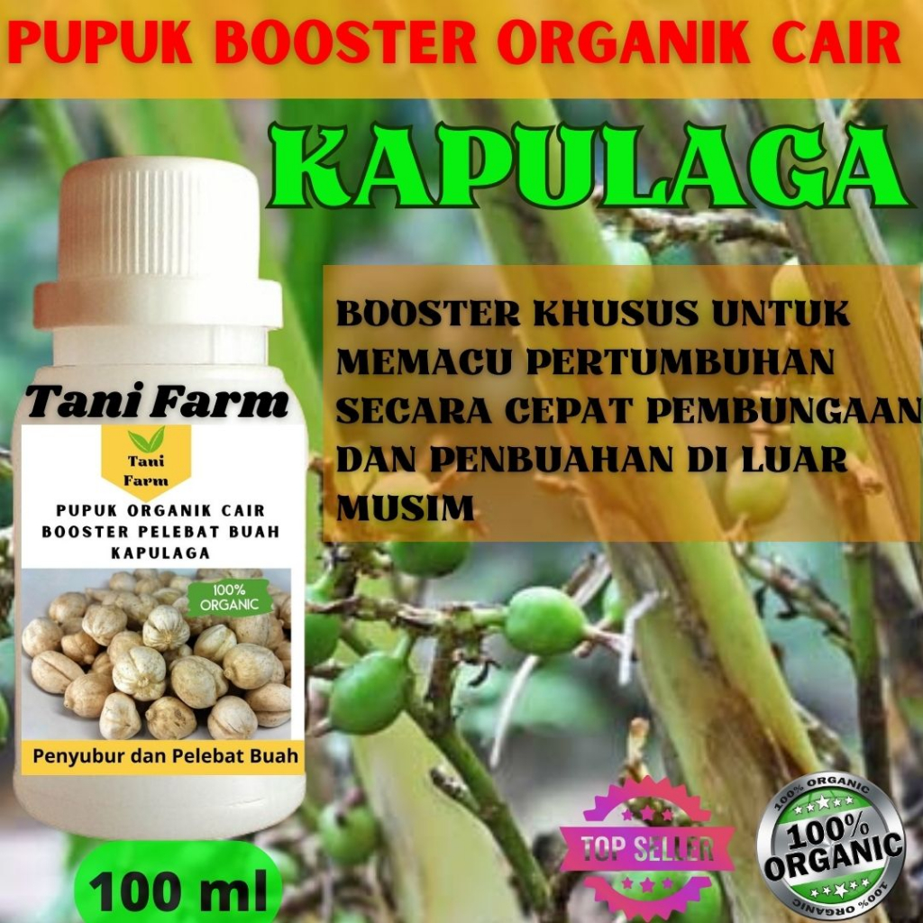 Jual Pupuk Booster Buah Kapulaga Pelebat Buah dan Anti Rontok / Pupuk Booster Kapulaga / Pupuk ...