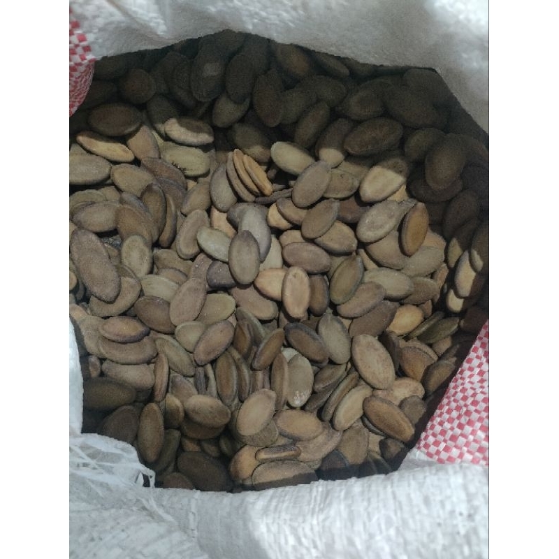 Jual solobium Parahyba | Shopee Indonesia