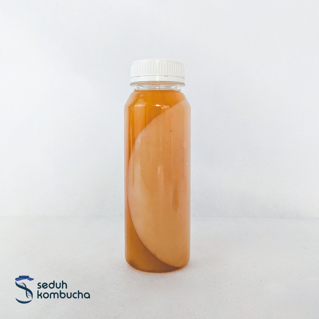 Jual Scoby/Starter/Bibit/Jamur Kombucha | Shopee Indonesia