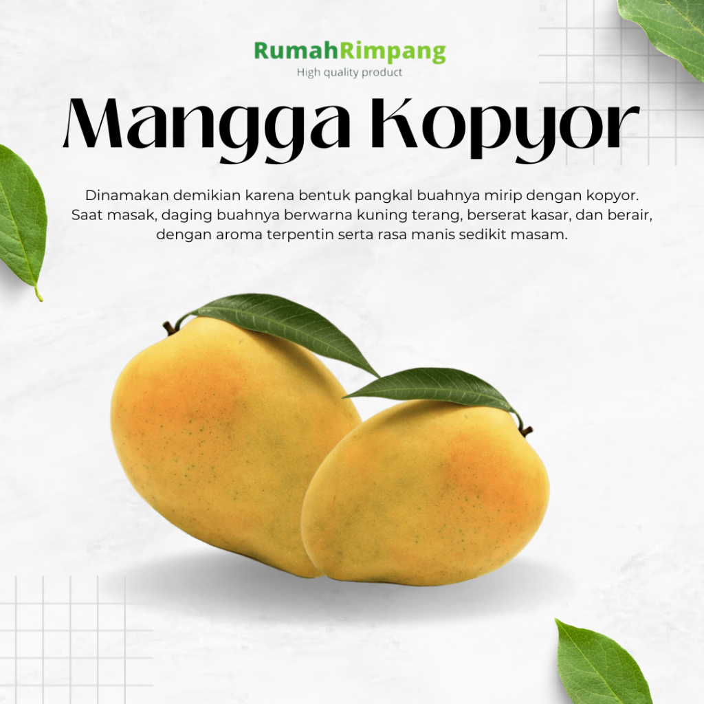 Jual [BISA INSTAN] READY BUAH FRESH - MANGGA KOPYOR 1 KG ISI 3-4 BUAH ...