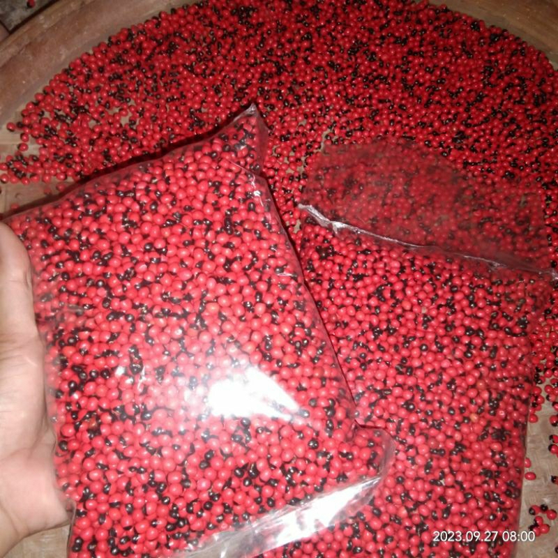Jual biji sogok tunteng,kemasan 1kg | Shopee Indonesia