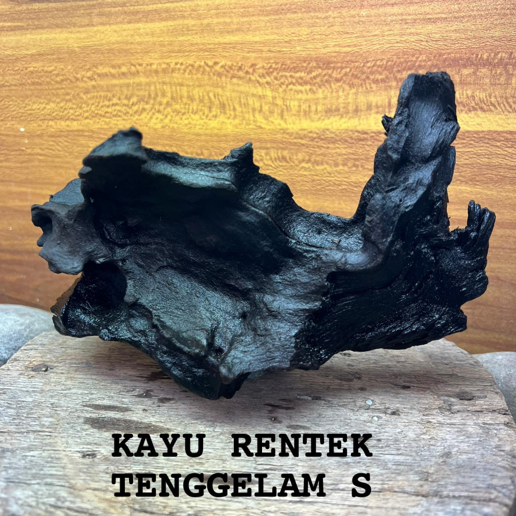 Jual Kayu Rentek Hardsacpe Aquascape Paludarium Castawood Size SS /S ...