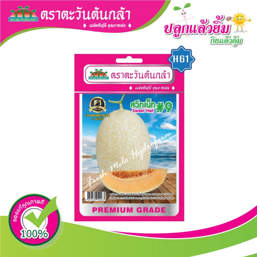 Jual Benih Sweet Net 9 (kemasan Urban Farming isi 20 biji) | Shopee ...