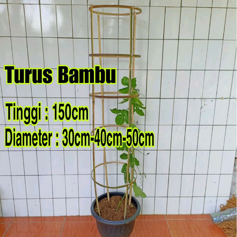Jual Turus Bambu Melingkar 150cm Rambatan Tanaman Round Obelisk /Turus ...