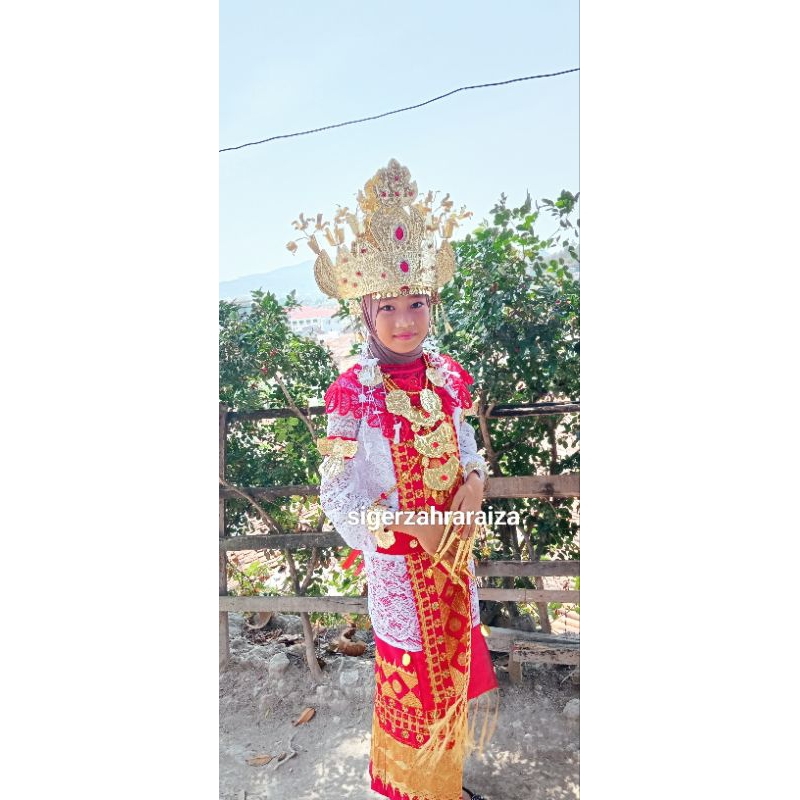 Jual perlengkapan alat tari#kostum adat Lampung#kostum tari sembah#baju ...
